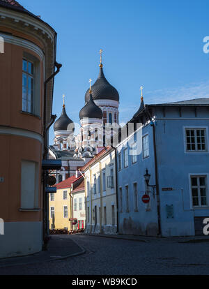 A vertical shot of Tallin city in Estonia with old buildings, autumn ...