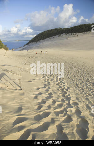 Cooloola Recreation Area, Queensland, Australia Stock Photo - Alamy