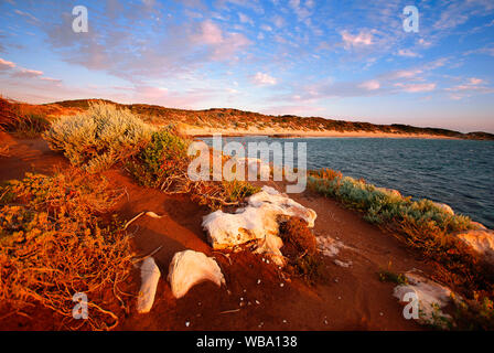 Point Peron, limestone cliffs. Cape Peron, Rockingham, Cockburn Sound ...