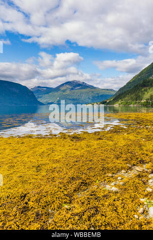 Valldalen is a valley in the municipality Norddal in Moere og Romsdal ...