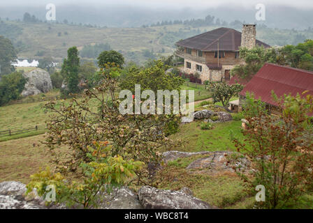 Cabins on the Fox-Farm tea estate in Mufindi (Tanzania highlands Stock ...
