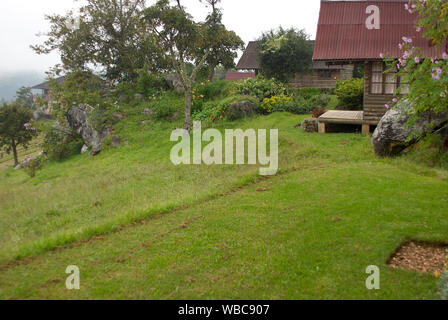 Cabins on the Fox-Farm tea estate in Mufindi (Tanzania highlands Stock ...