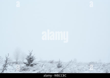 Magical winter scene with white mist Stock Photo - Alamy
