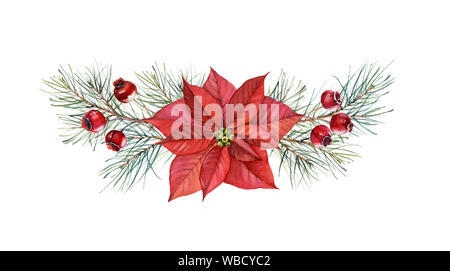 Red poinsettia Christmas flower watercolor illustration. Hand drawn New ...