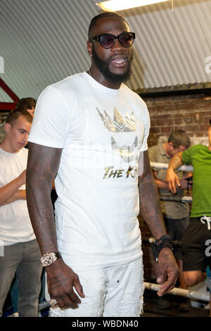 The Boxer's Reach Stock Photo - Alamy