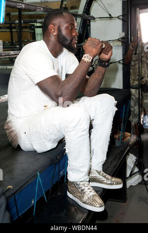 The Boxer's Reach Stock Photo - Alamy