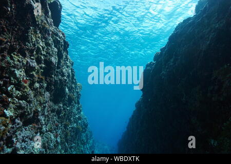 Natural trench underwater sea into the fore reef slope with corals on ...