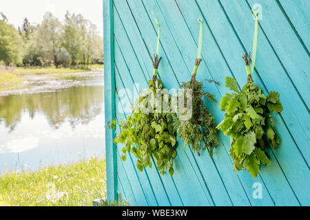 Birch, juniper,oak tree sauna whisks brooms ( also known as vasta ...