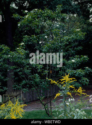 Garden scene in northern Virginia Stock Photo - Alamy