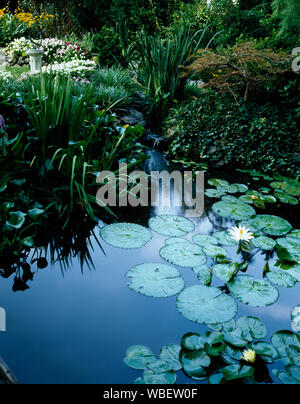 Garden scene in northern Virginia Stock Photo - Alamy