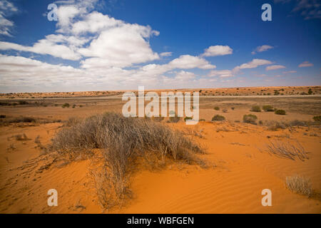 Vast arid Australian outback landscape with dusty dirt road, fence, and ...