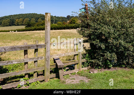 Padlocked Metal and Wooden Farm Gates Protecting Livestock,Pastures and ...