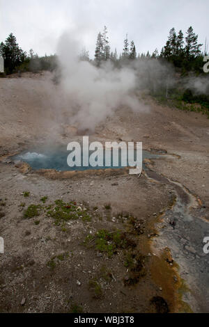 Beryl Spring, one of the hottest hot springs in Yellowstone National ...
