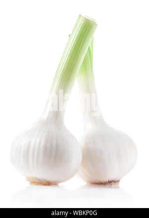 Aroma seasoning - young fresh garlic for cooking Stock Photo - Alamy