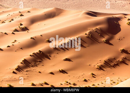 Beautiful pattern formed by nature, Namib desert, Namibia Stock Photo ...