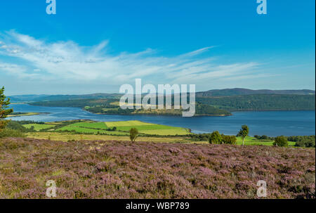 STRUIE HILL ROSS AND CROMARTY SCOTLAND VIEW IN SUMMER OVERLOOKING THE ...