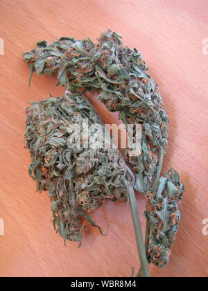 Cannabis bud crete marihuana close up vintage old shoot nature ...