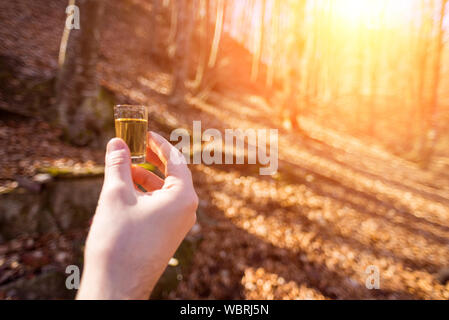 Rakia or rakija traditional Balkan fruit brandy. Plum brandy sljivovica ...