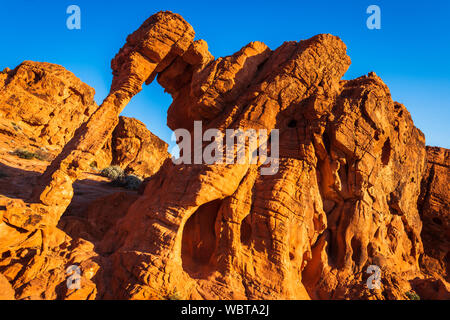 Elephant rock in the morning light, Tongaporutu, New Plymouth district ...