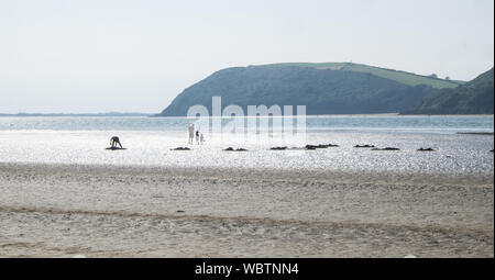 Man,digs,digging,in,sand,muddy,mud,mudflats,,sandy,area,of,Ferryside ...