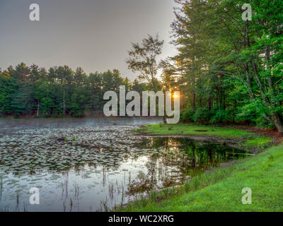 Small lake in upper sullivan county New York in summer Stock Photo - Alamy
