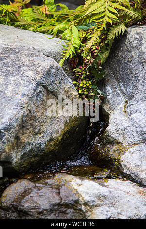 Water trickling down rock face outdoors Stock Photo - Alamy