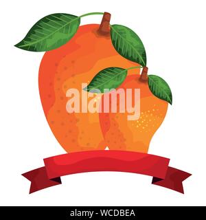 fresh mango fruit with ribbon stamp Stock Vector Image & Art - Alamy
