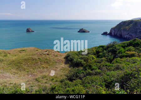 Berry Head, Brixham, Devon, South West England Stock Photo - Alamy
