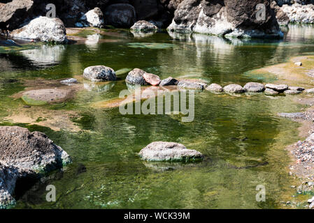 Hot spring with green water, Afar region, Afdera, Ethiopia Stock Photo ...