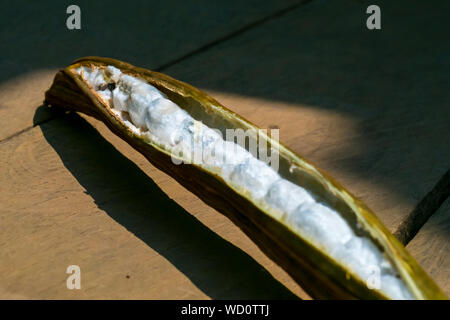 A Few Ice Cream Bean (Pacay Fruit) on Wood Terrace Stock Photo - Alamy