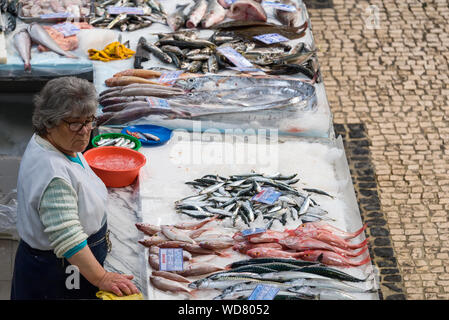 fish stalls at the Livramento food market in Setubal town, Portugal ...
