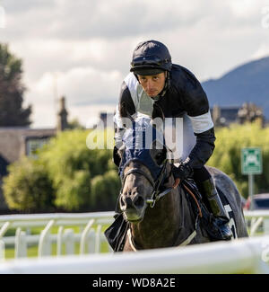 Jockey Duran Fentiman Stock Photo - Alamy