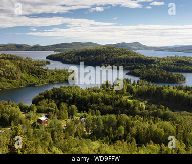 Sweden - Angermanland - Forest Stock Photo - Alamy