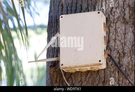 Wireless router hanging in a tree - Madagascar Stock Photo - Alamy