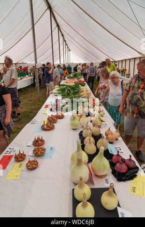 Vegetable competition exhibits at an agricultural show Stock Photo - Alamy