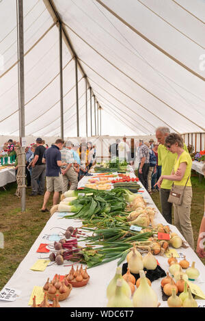 Vegetable competition exhibits at an agricultural show Stock Photo - Alamy