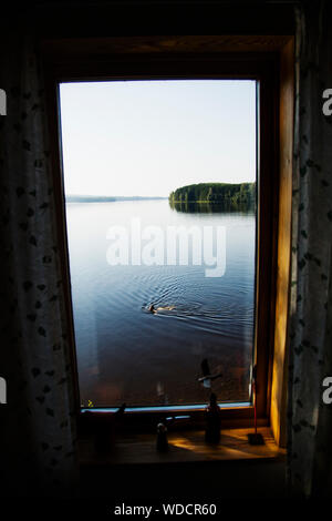 Lake view through window in rainy day. Rainy day. Rain drops. Rain ...
