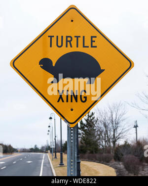 Yellow warning sign TURTLE CROSSING, turtles crossing the beach for ...