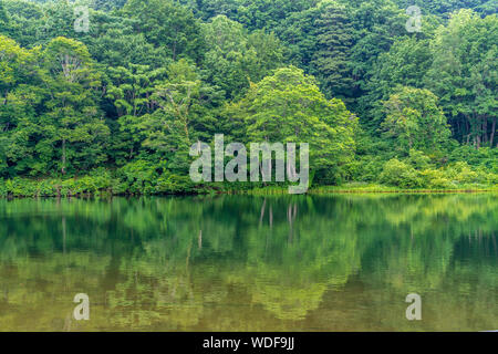 Goshiki-numa lake in Nishikawa-machi, Yamagata Prefecture, Japan Stock ...
