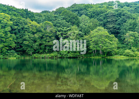 Goshiki-numa lake in Nishikawa-machi, Yamagata Prefecture, Japan Stock ...