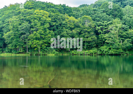 Goshiki-numa lake in Nishikawa-machi, Yamagata Prefecture, Japan Stock Photo - Alamy