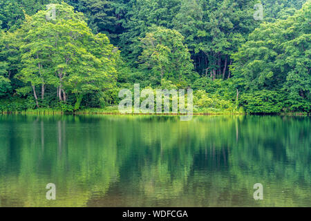 Goshiki-numa lake in Nishikawa-machi, Yamagata Prefecture, Japan Stock ...