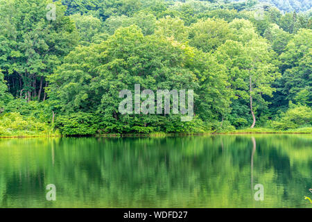 Goshiki-numa lake in Nishikawa-machi, Yamagata Prefecture, Japan Stock ...