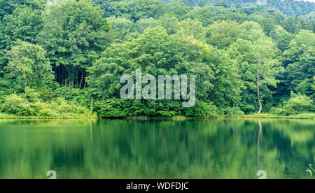 Goshiki-numa lake in Nishikawa-machi, Yamagata Prefecture, Japan Stock ...