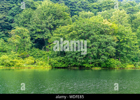 Goshiki-numa lake in Nishikawa-machi, Yamagata Prefecture, Japan Stock ...