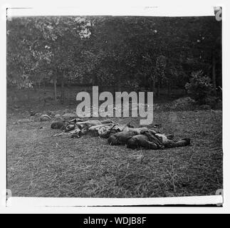 The Confederate dead at the edge of the Rose Woods during the Battle of ...