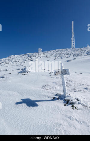 Crawford Path (Appalachian Trail) near Mount Pierce in the White ...