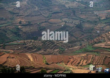 Poombarai Village and terraced farming in Kodaikanal Stock Photo - Alamy