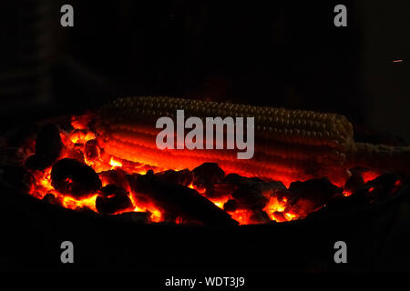 spicy sweet corn burn in fire with lemon and salt in a wood tray from ...