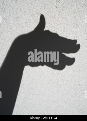 Crocodile hand puppet Stock Photo - Alamy